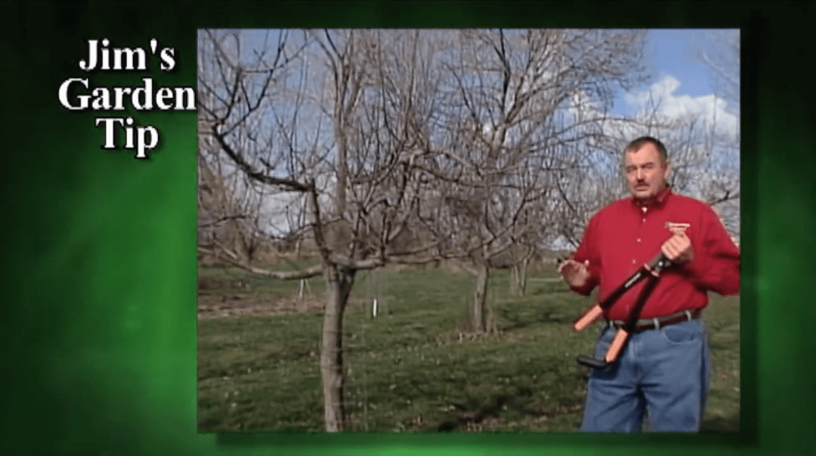Gardening Tips 5 - How To Take Care Of Fruit Trees In Early Spring - Dr ...